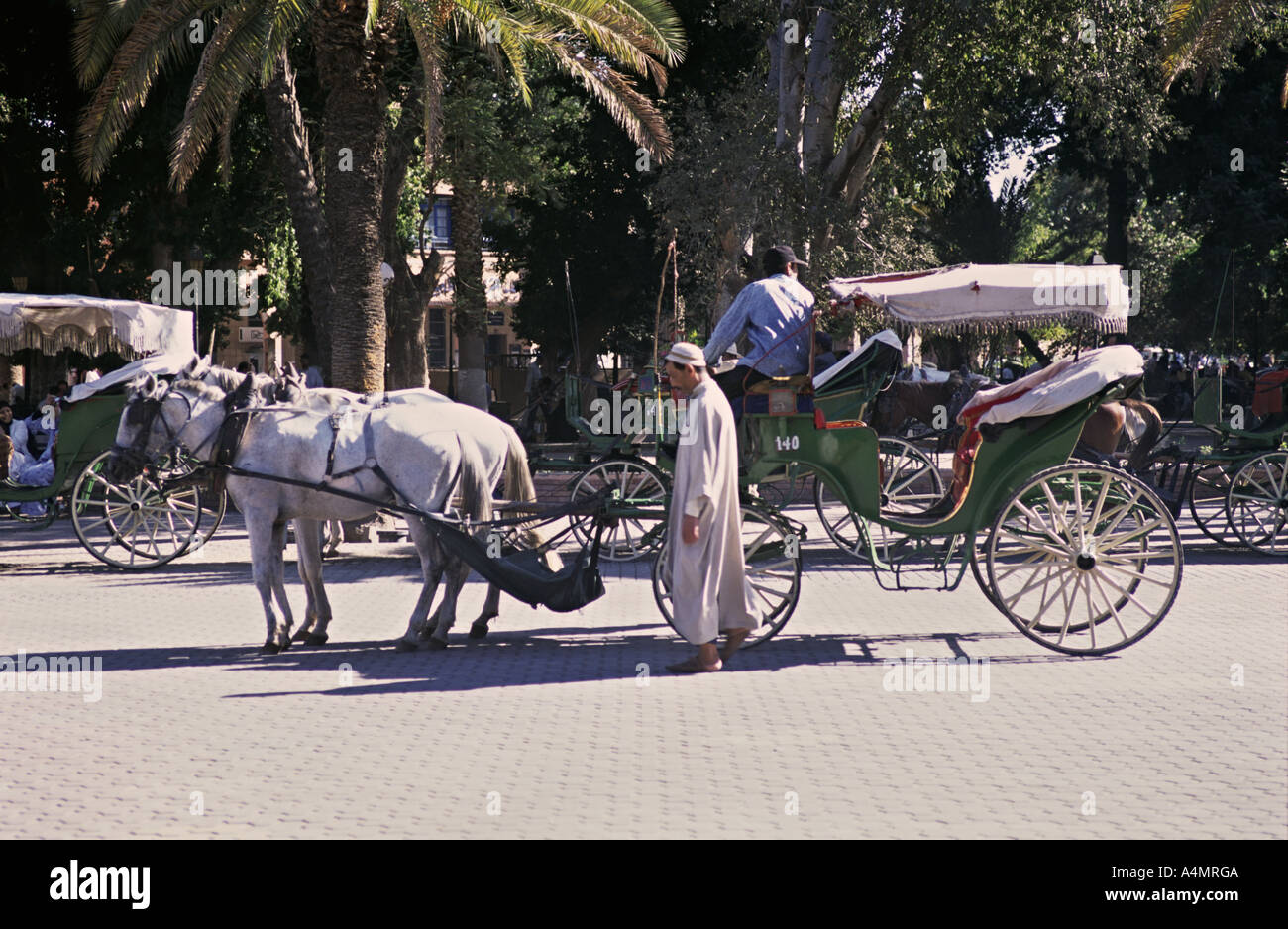 Marrakech Morocco Traditional horse drawn carriage known as a caleche ...