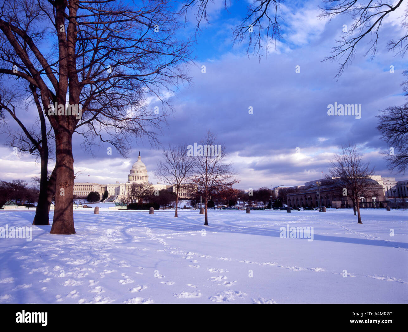 USA,Washington D.C.,Capitol building in mid-February, snowscape Stock ...