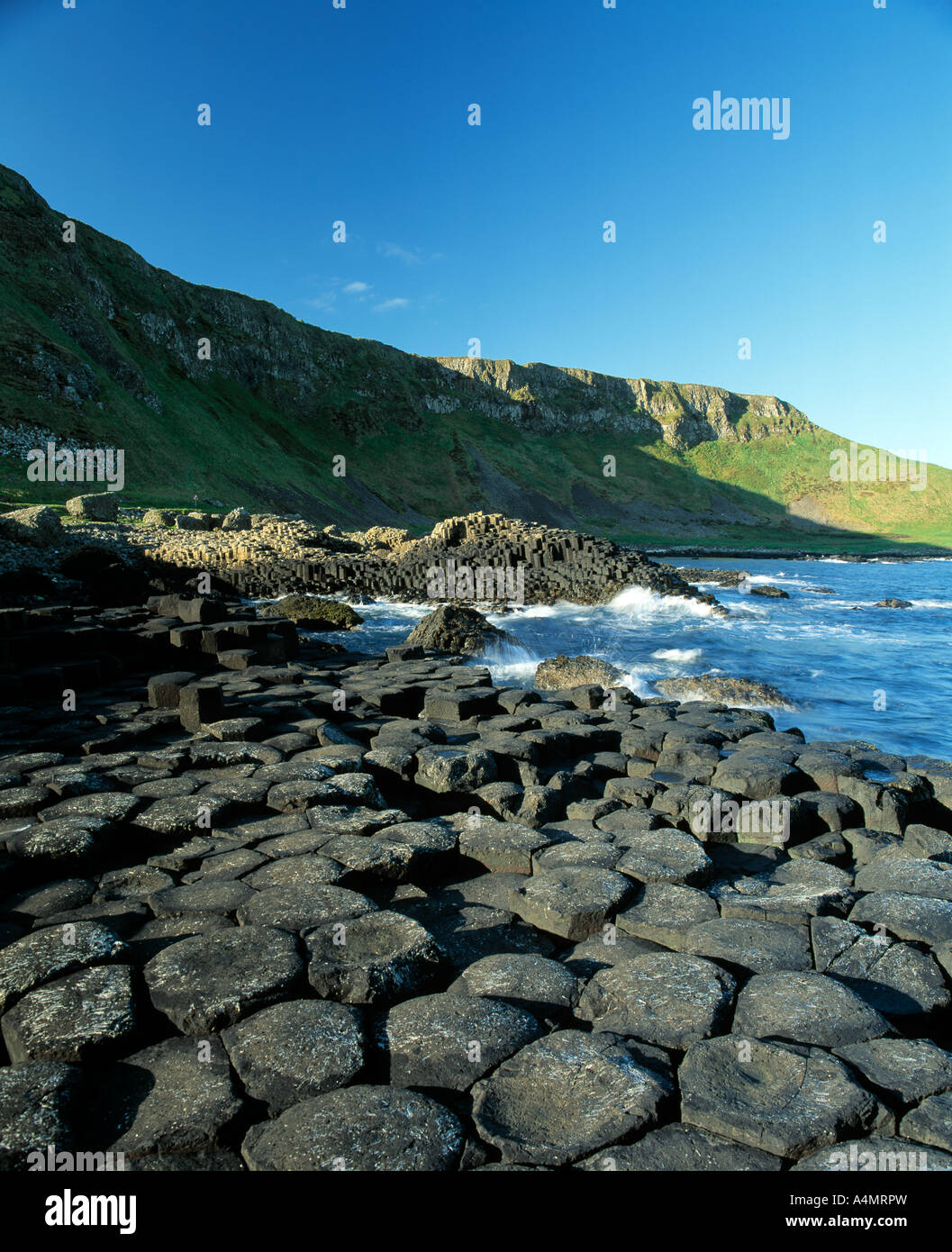 Oceanic relics hi-res stock photography and images - Alamy