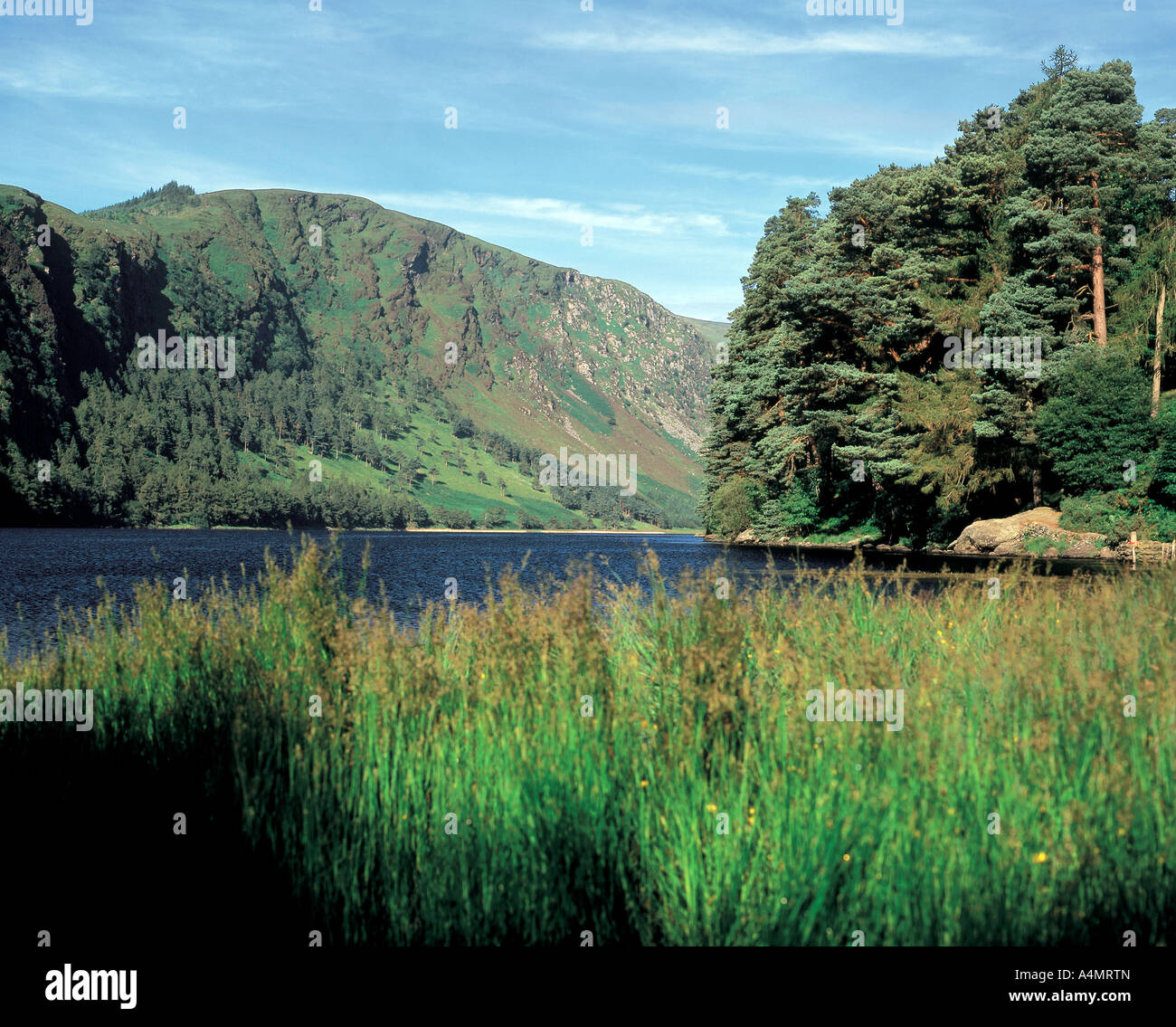 ireland, county wicklow glendalough large inland lake surrounded by ...