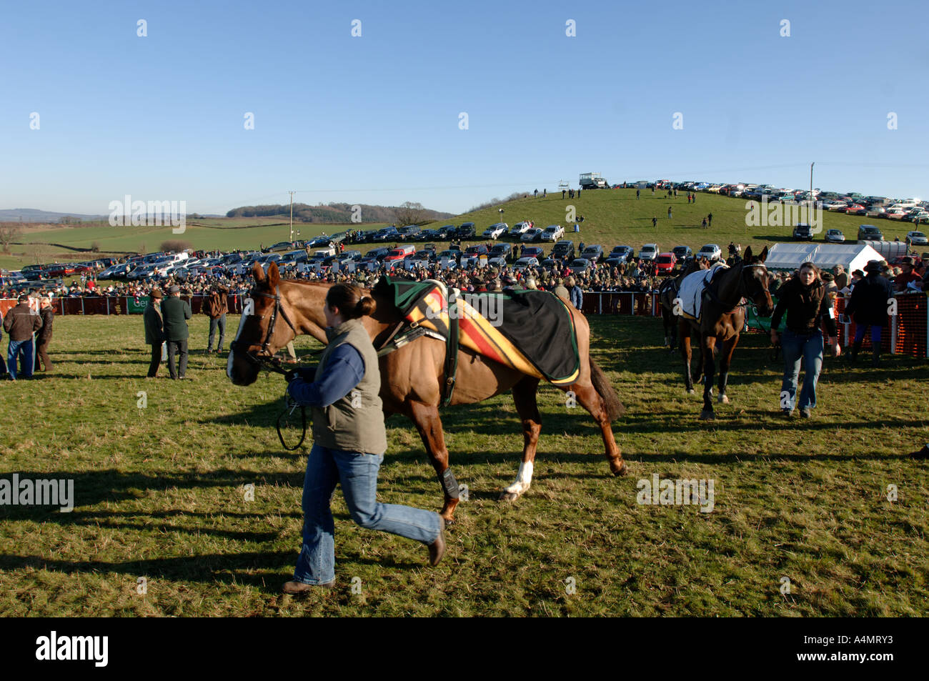 Point to point racing at Kenton Devon UK Stock Photo - Alamy