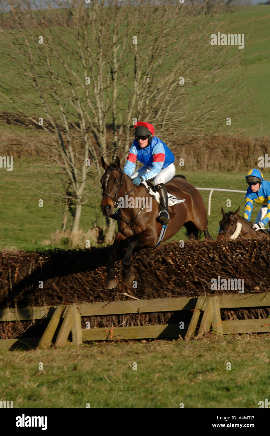 Point to point racing at Kenton Devon UK Stock Photo - Alamy