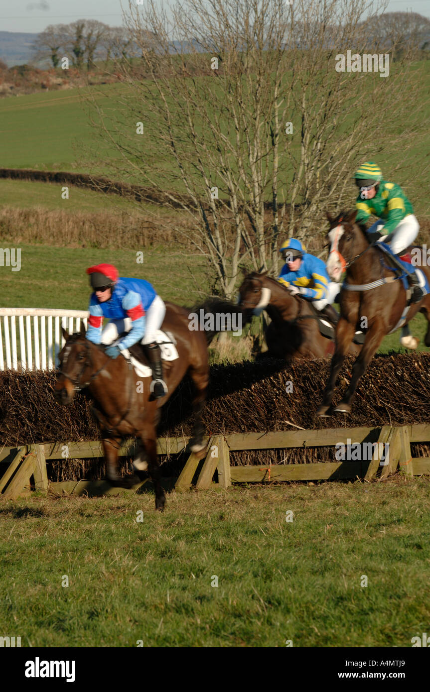 Point to point racing at Kenton Devon UK Stock Photo - Alamy