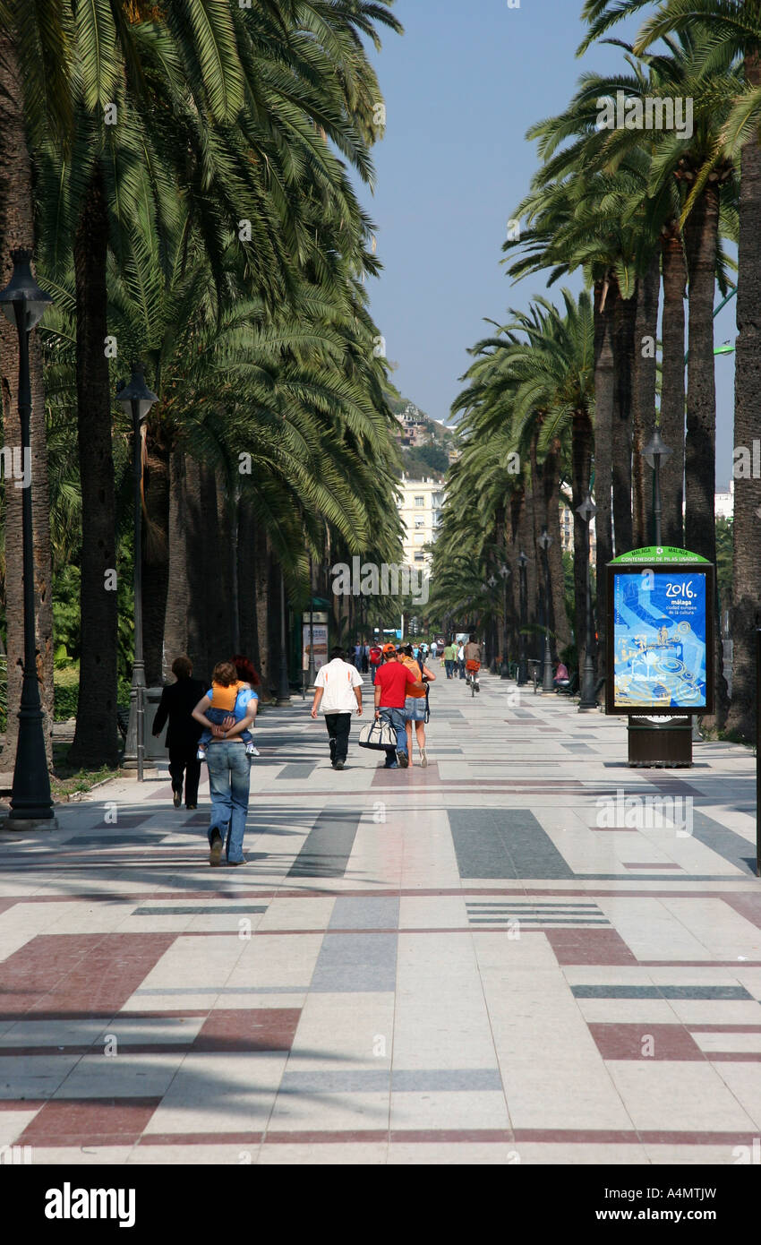 Paseo del parque malaga hi-res stock photography and images - Alamy