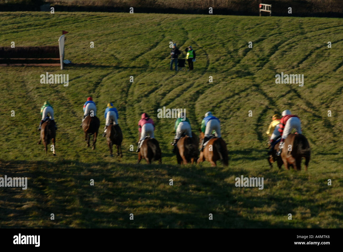 Point to point racing at Kenton Devon UK Stock Photo - Alamy