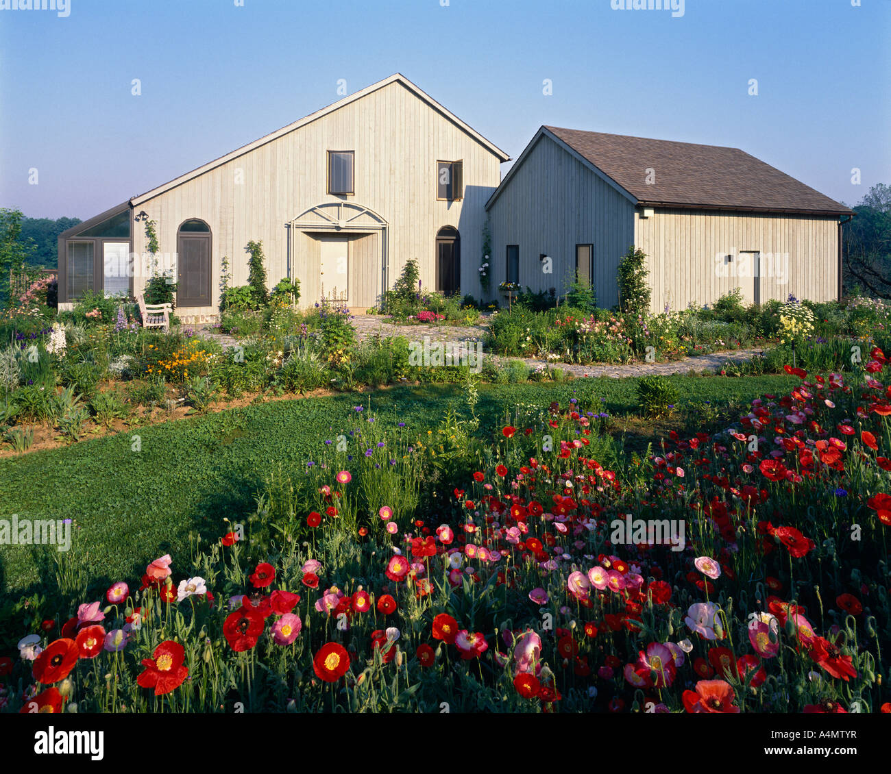 Poppies in the yards hi-res stock photography and images - Alamy