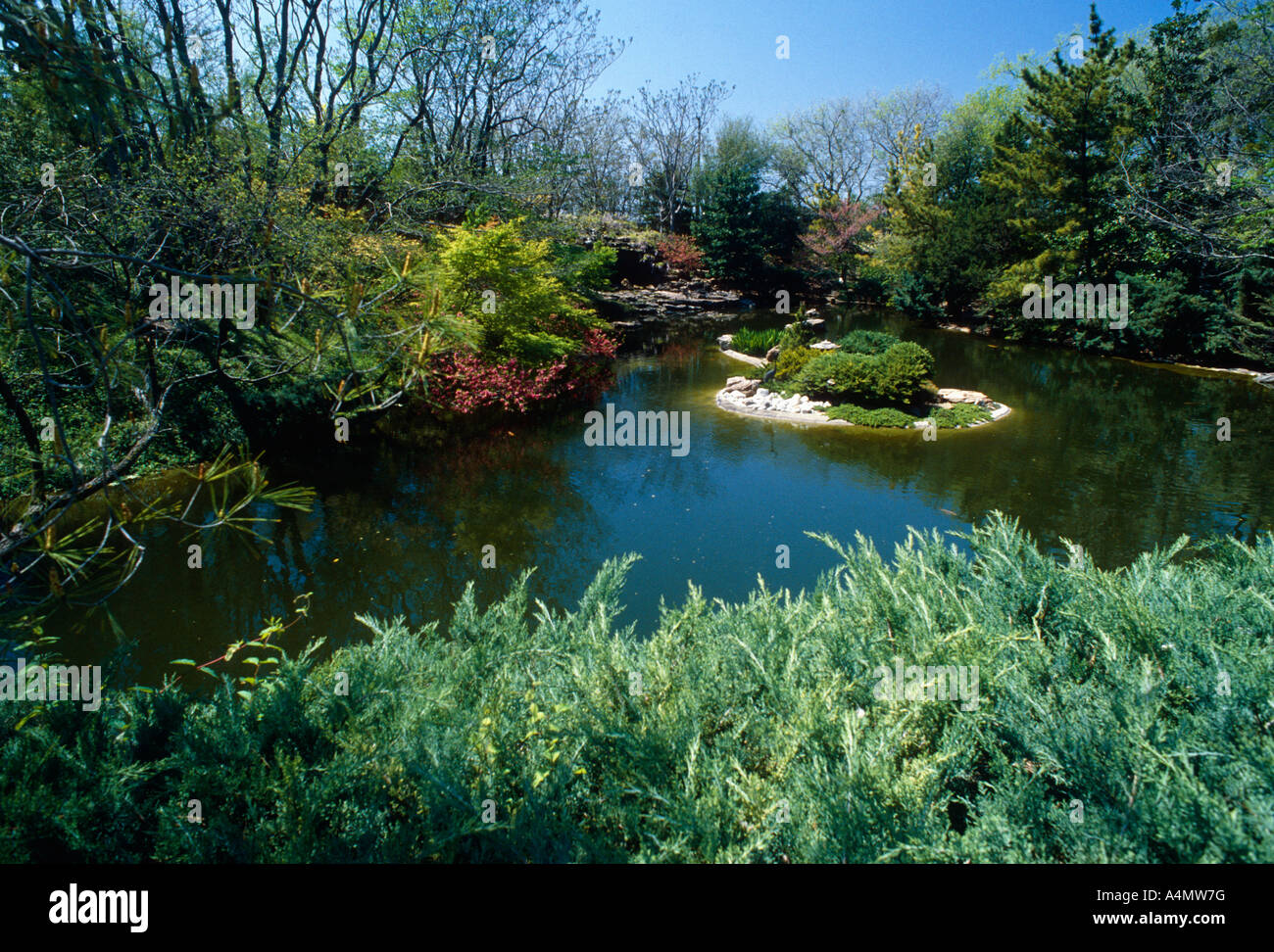 Japanese garden plants and trees hi-res stock photography and images ...