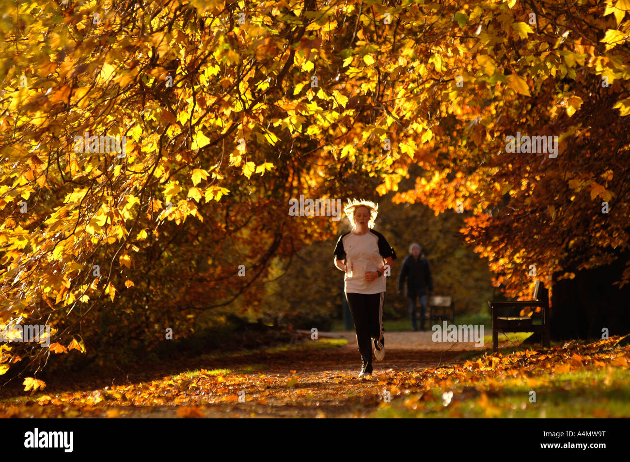 University students jogging hi-res stock photography and images - Alamy