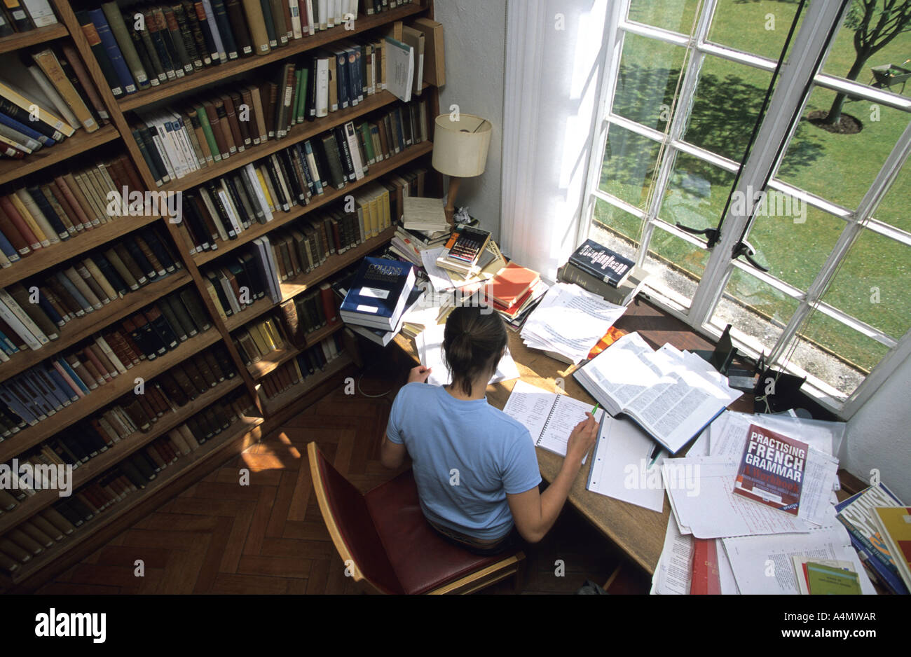 student hard at work in a college library Stock Photo - Alamy