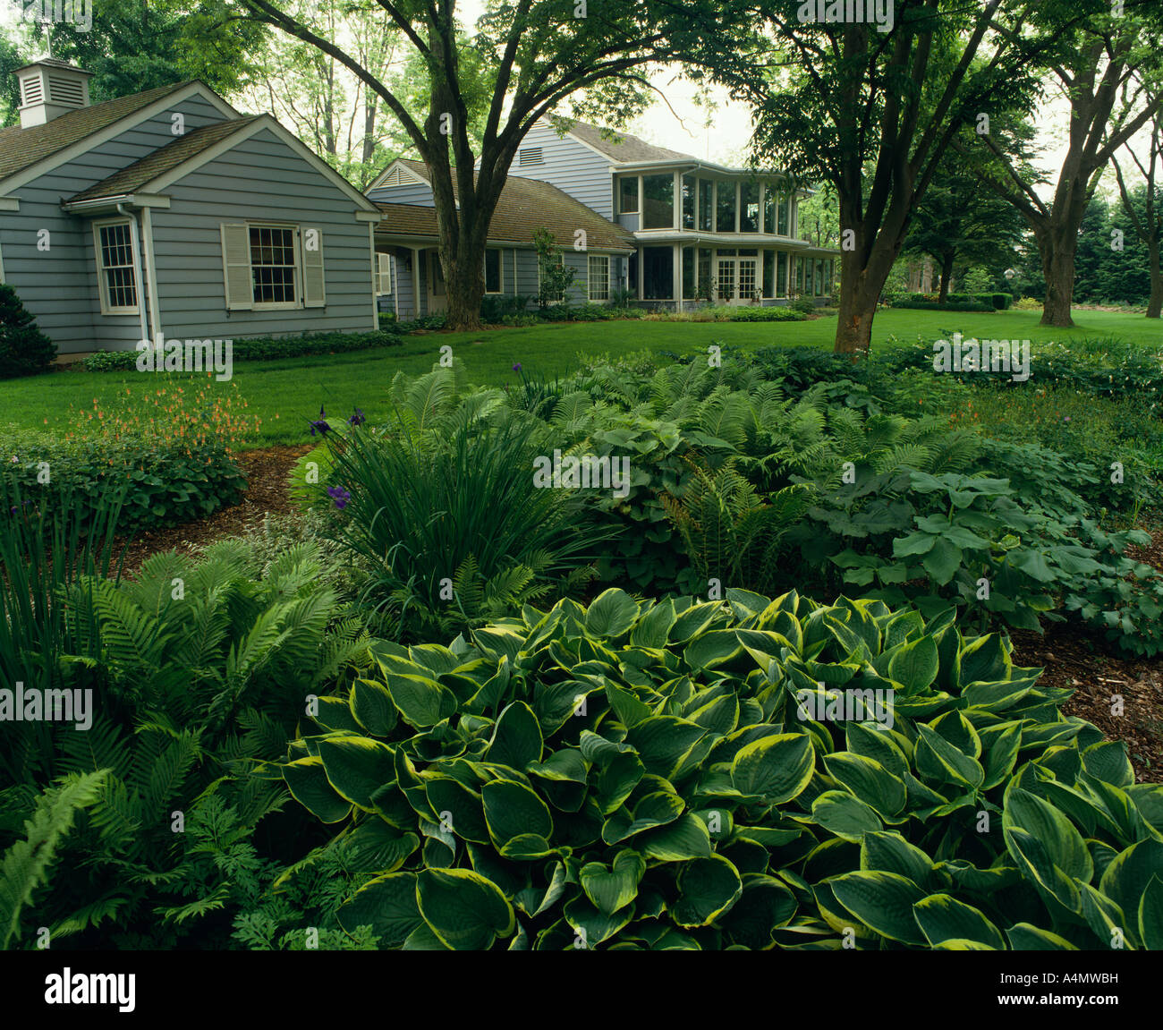 SHADE GARDENING USING NATIVE PLANTS INCLUDING PLANTAIN LILY, HOSTA ...