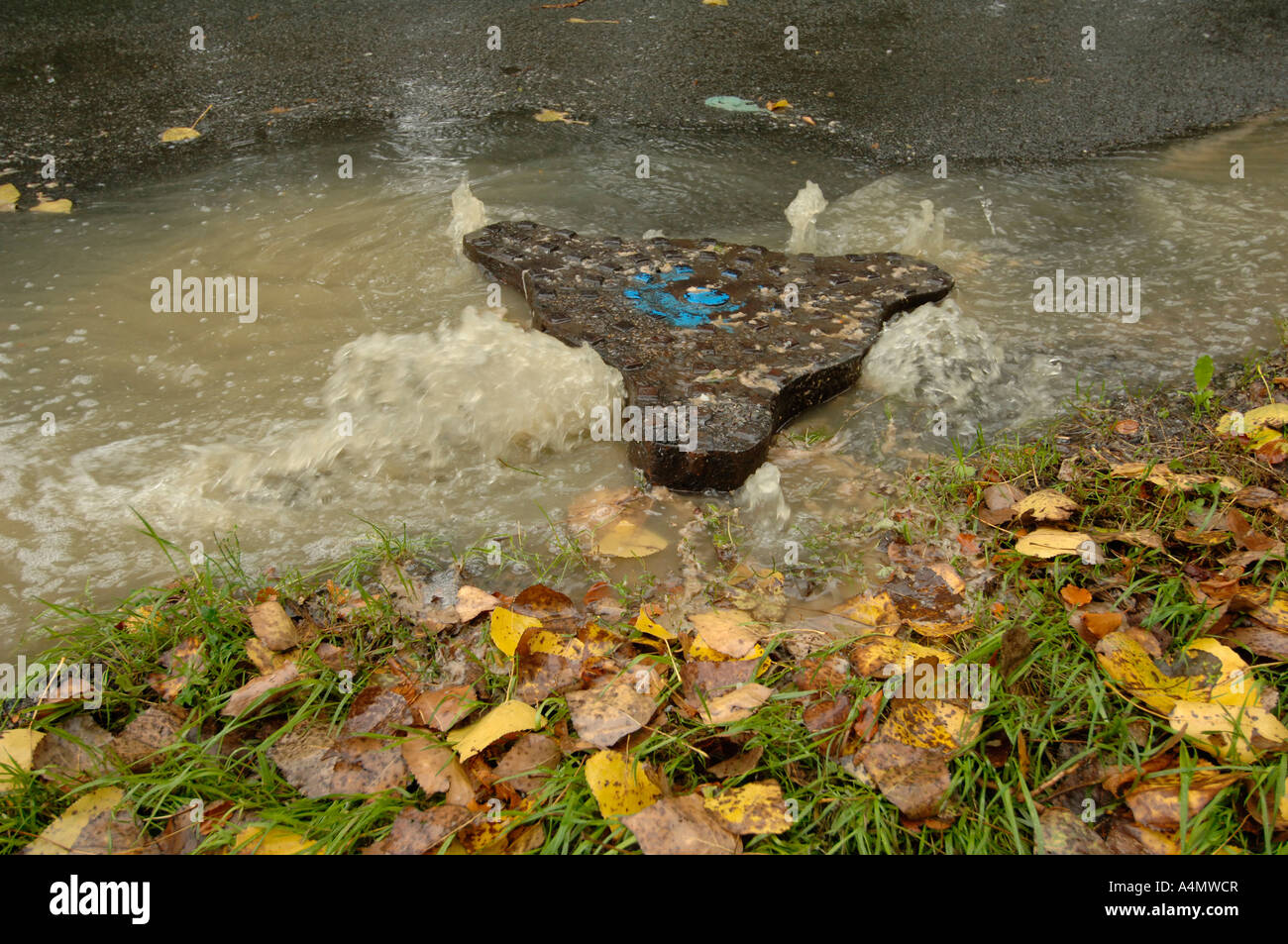 Water flooding out of a manhole.Just one of many examples of heavy ...