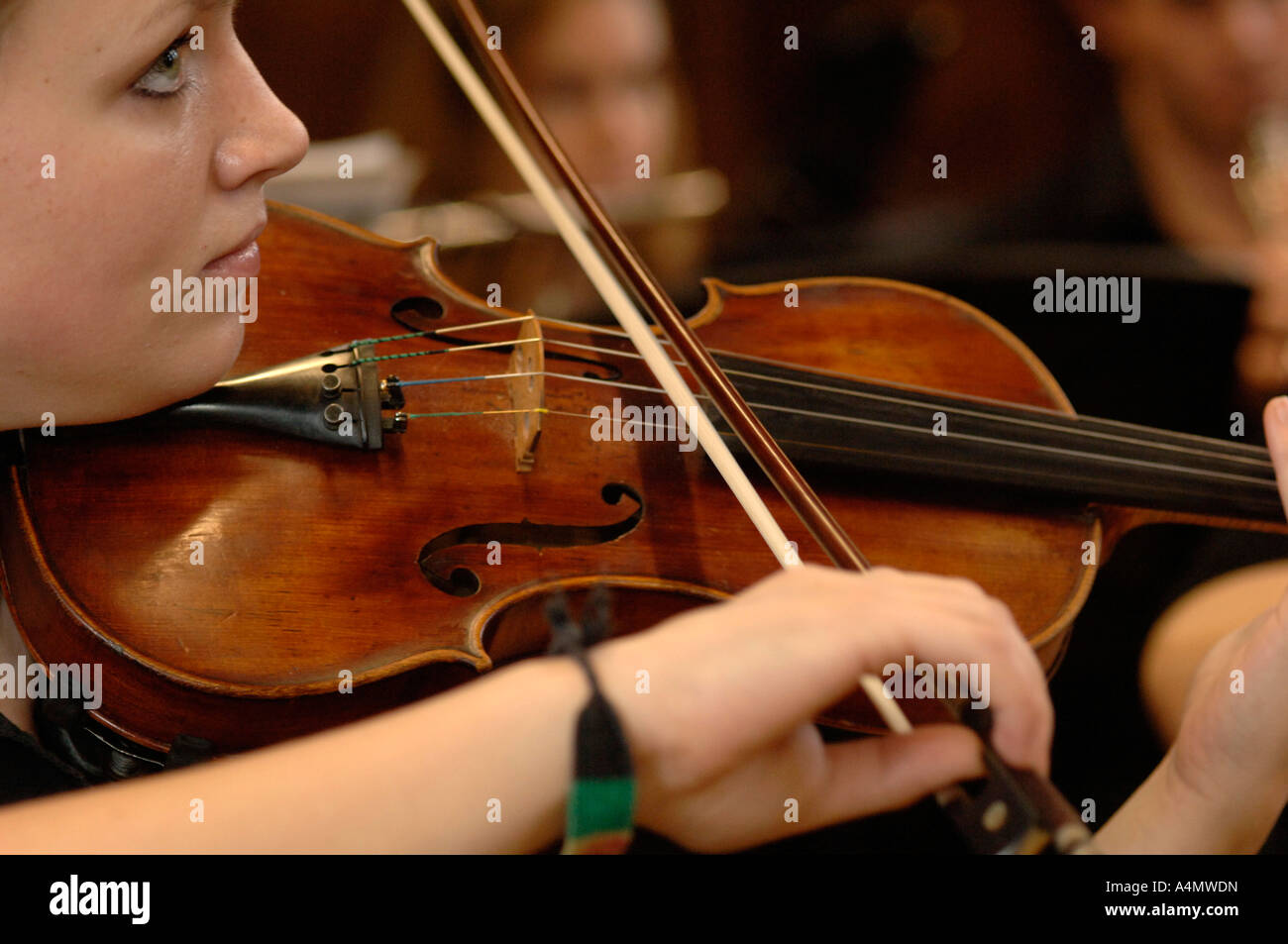 A violin being played as part of a small orchestra Stock Photo - Alamy