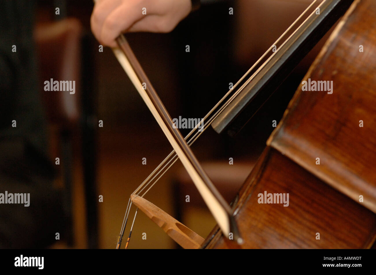 A cello bow being drawn across strings Stock Photo - Alamy