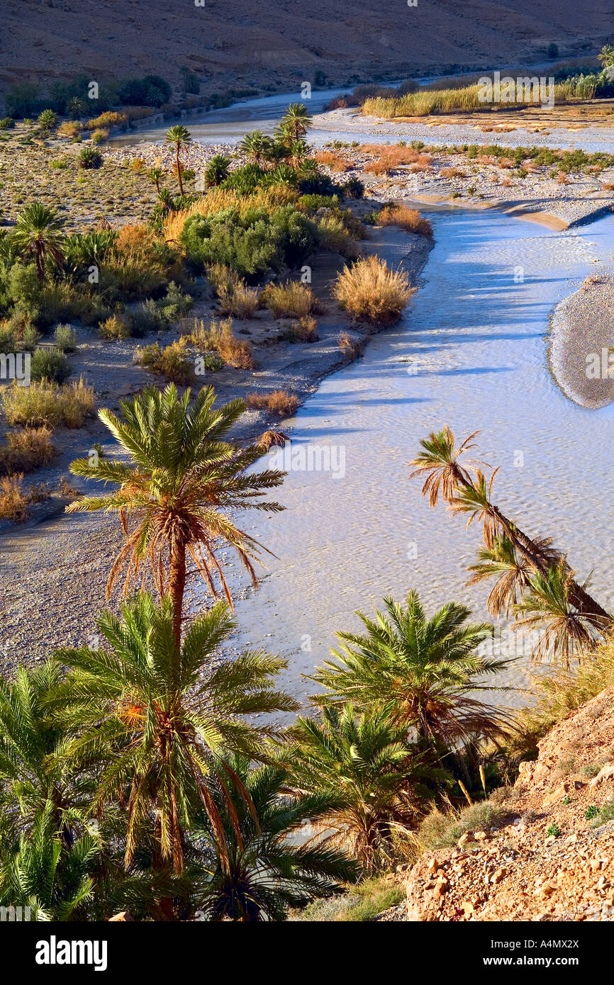oasis in Ziz valley Morocco Stock Photo - Alamy