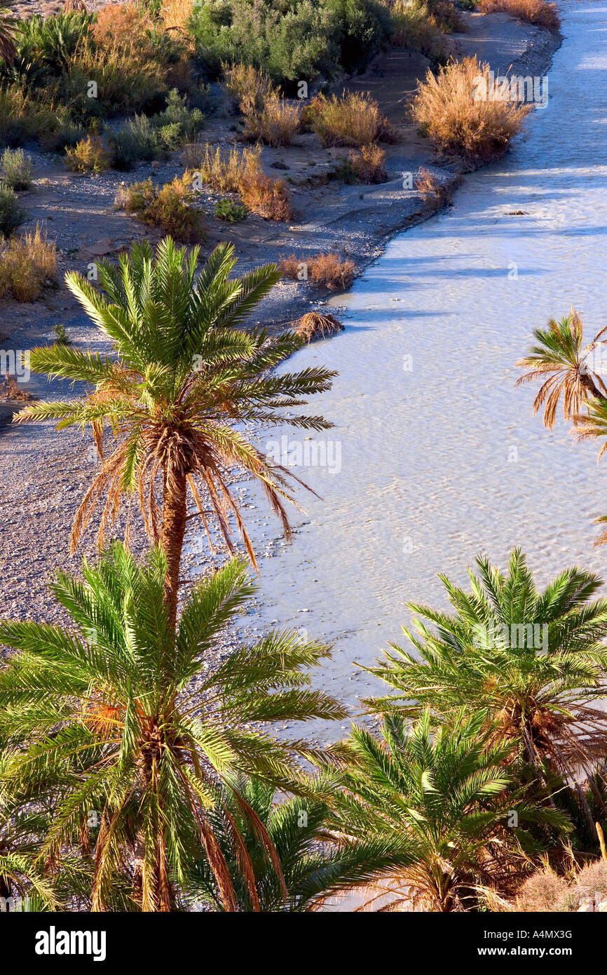 oasis in Ziz valley Morocco Stock Photo - Alamy