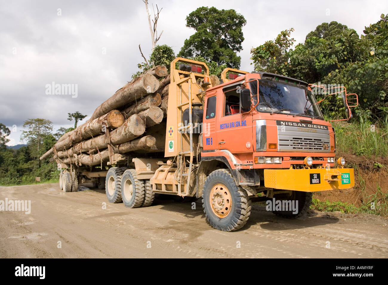Malaysia Borneo Sabah Danum Valley forestry lorry overloaded with logs ...