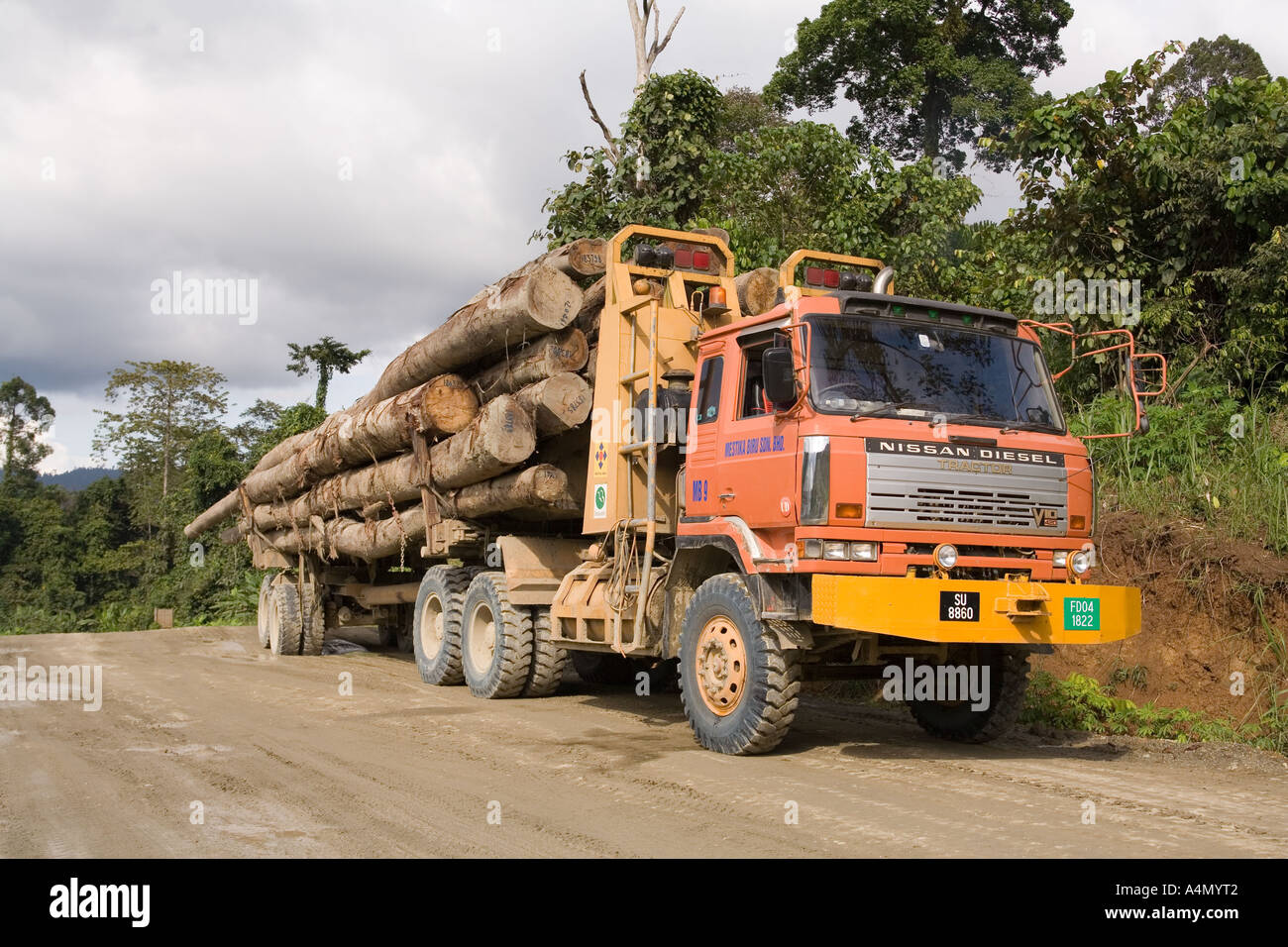 Malaysia Borneo Sabah Danum Valley forestry lorry overloaded with logs ...