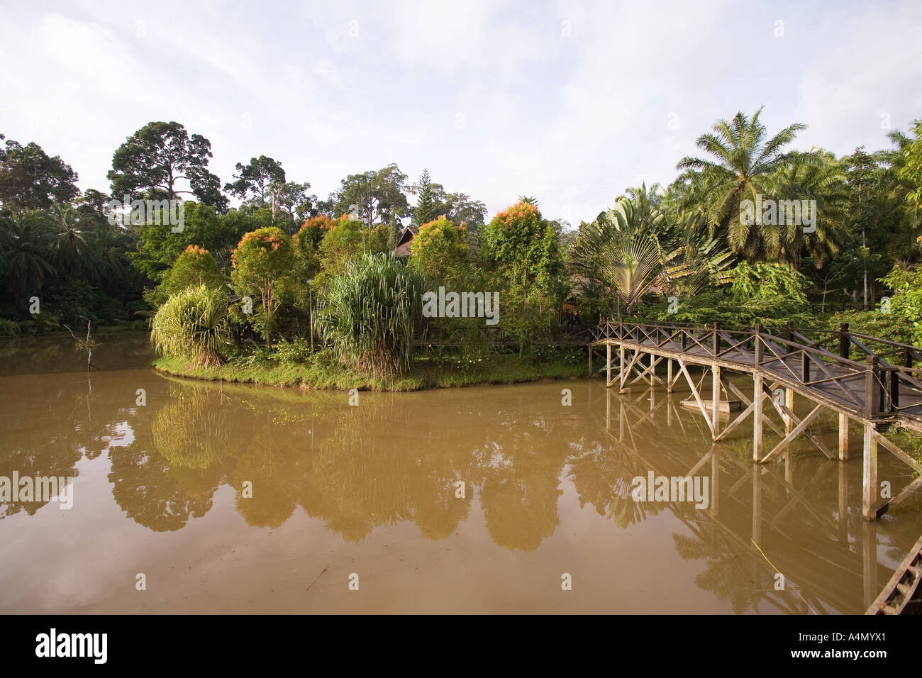 Malaysia, Borneo, Sabah, sandakan, Sepilok Nature Resort garden Stock ...