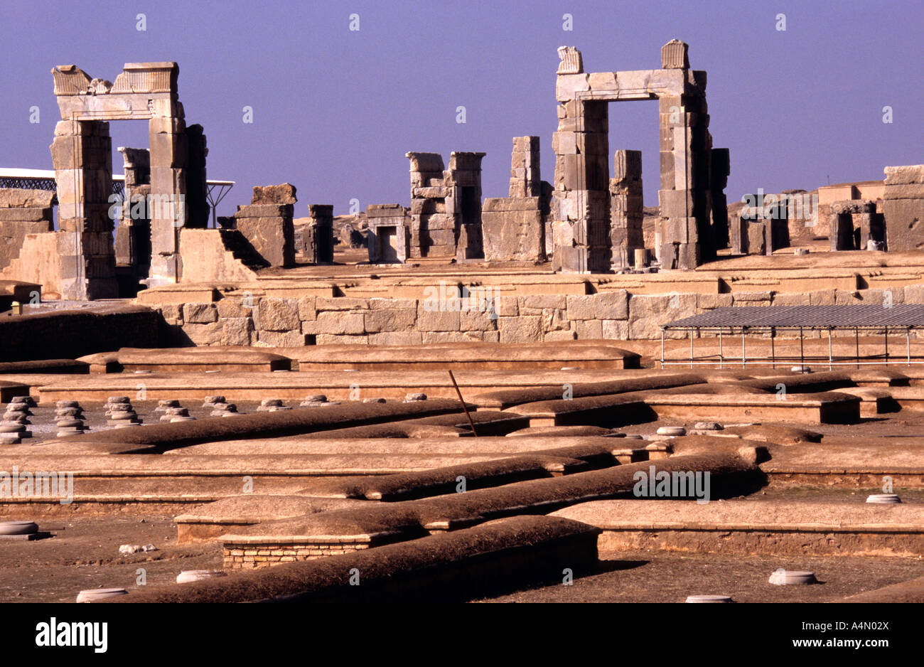 The ruins of the Hall of 100 columns, Persepolis, Iran Stock Photo - Alamy