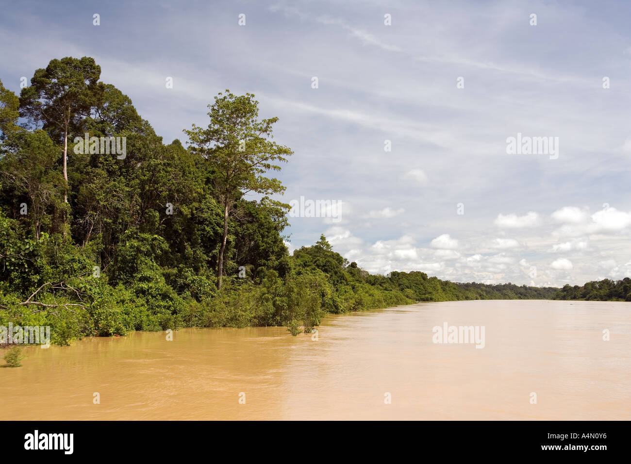 Swollen brown river hi-res stock photography and images - Alamy