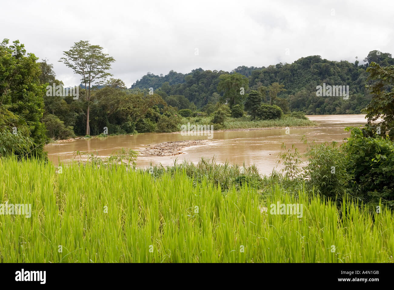Sarawak riverbanks hi-res stock photography and images - Alamy