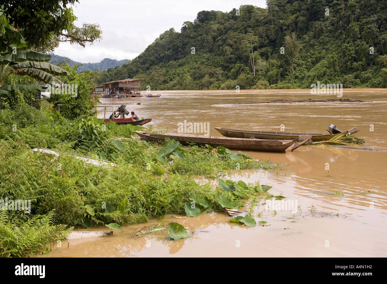 Malaysia Borneo Sarawak Belaga longboats at bank of Rejang River Stock ...