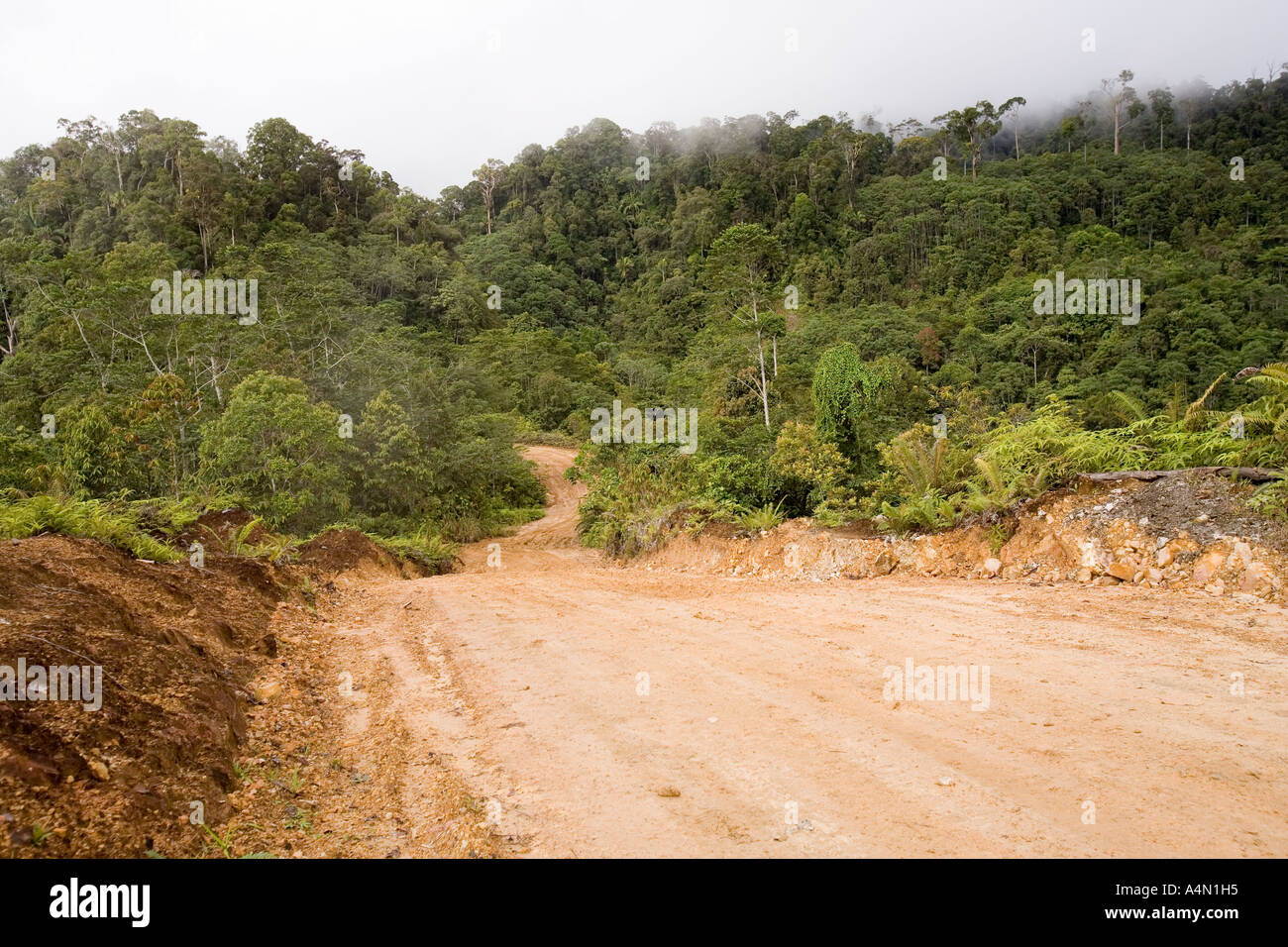 Malaysia Borneo Sarawak Belaga muddy logging track Stock Photo - Alamy