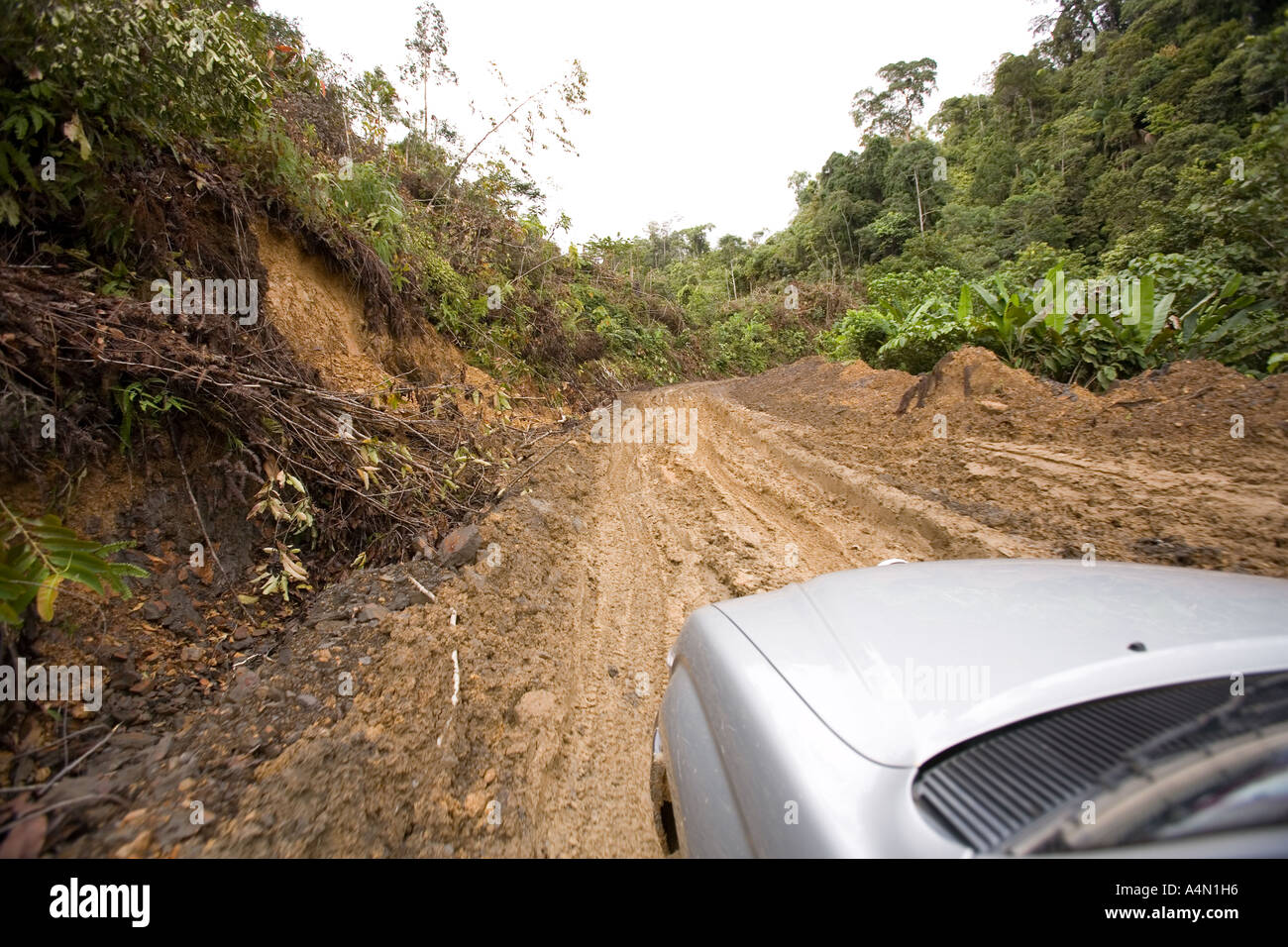 Malaysia Borneo Sarawak Belaga 4WD vehicle driving along muddy logging ...