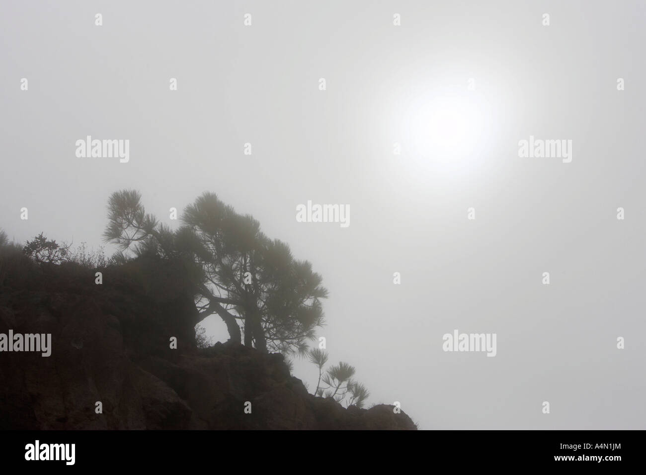sun breaking through the mist over a mountain ridge of El Teide with ...