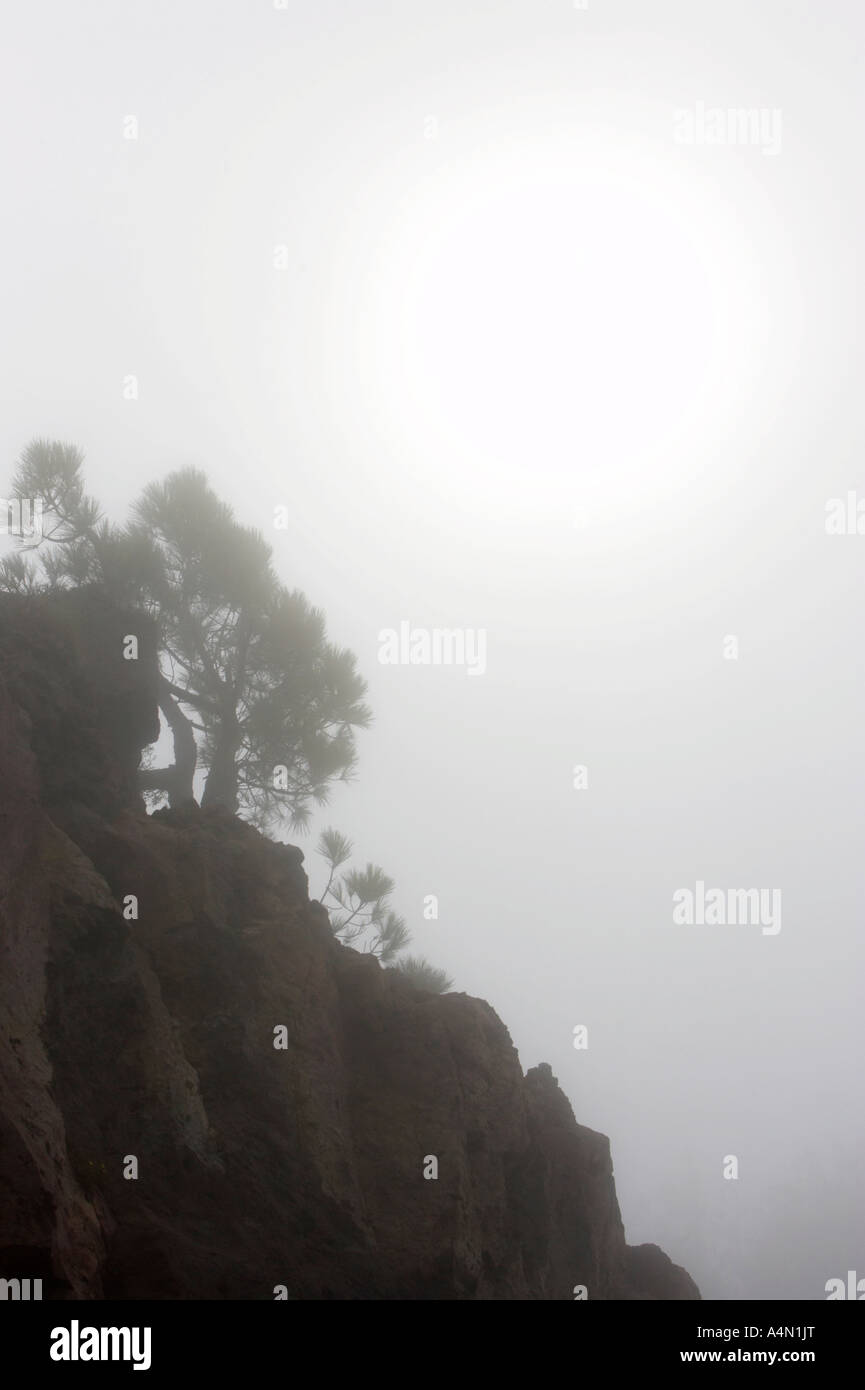 vertical sun breaking through the mist over a mountain ridge of El ...