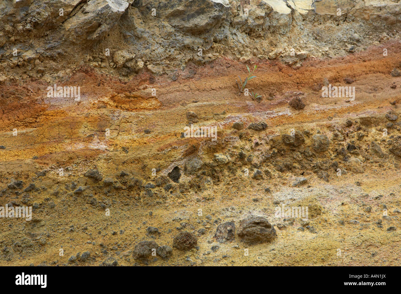 small rocks enclosed in yellow and orange lava strata deposits in ...