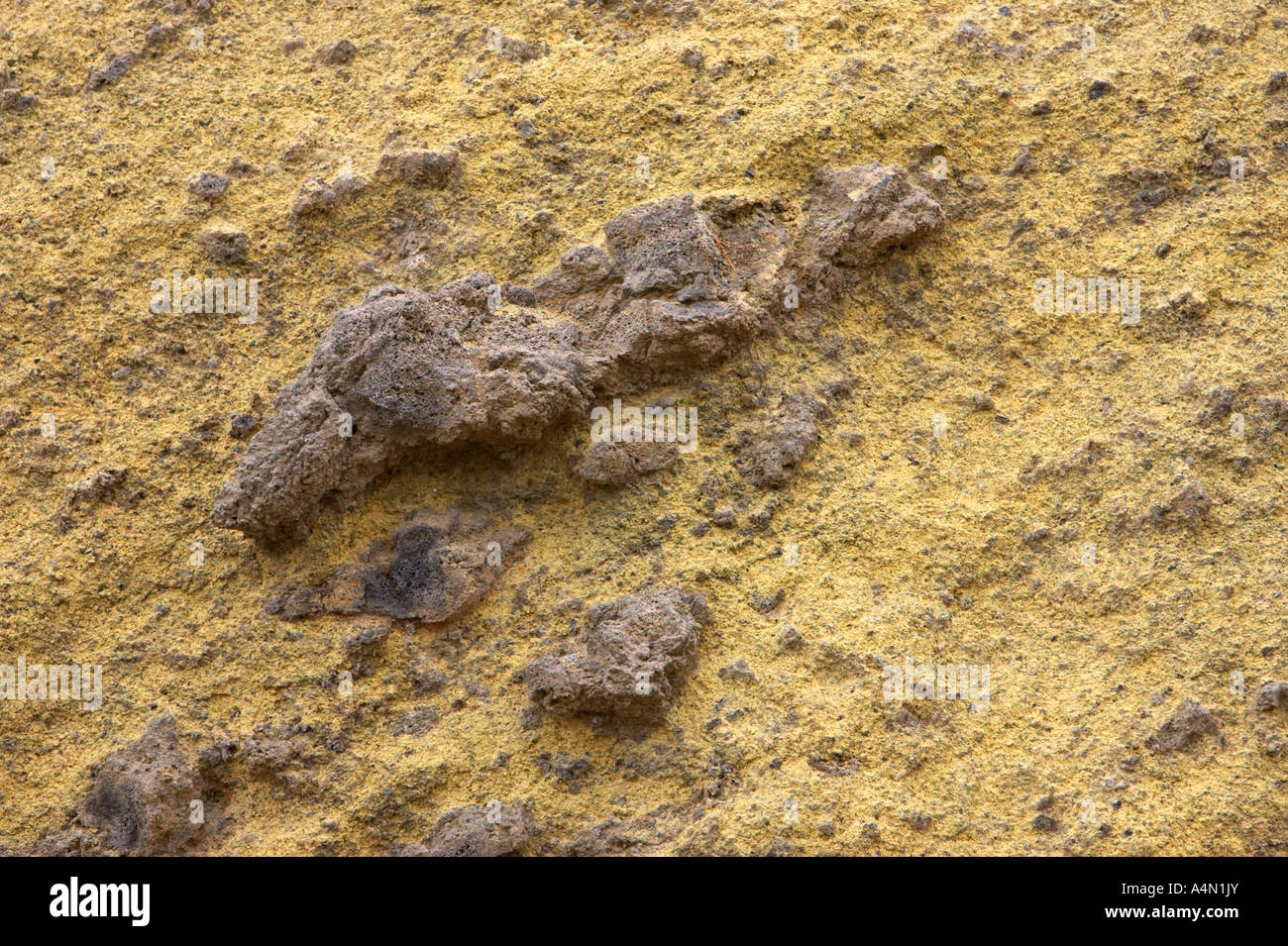 close up of rocks buried in yellow lava strata deposits in ancient lava ...