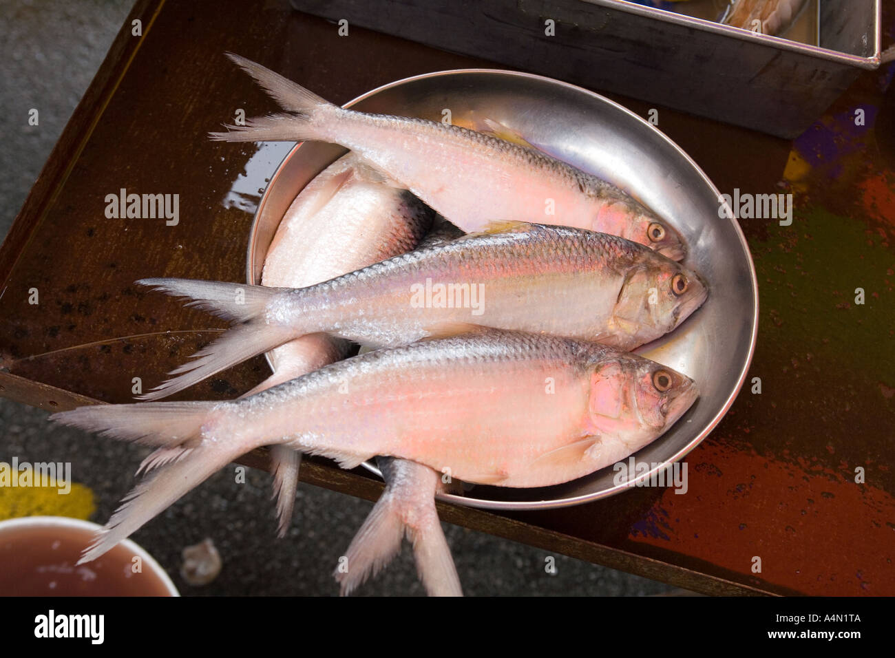 Malaysia Borneo Sarawak Kuching Sunday Market plate of small fish Stock ...