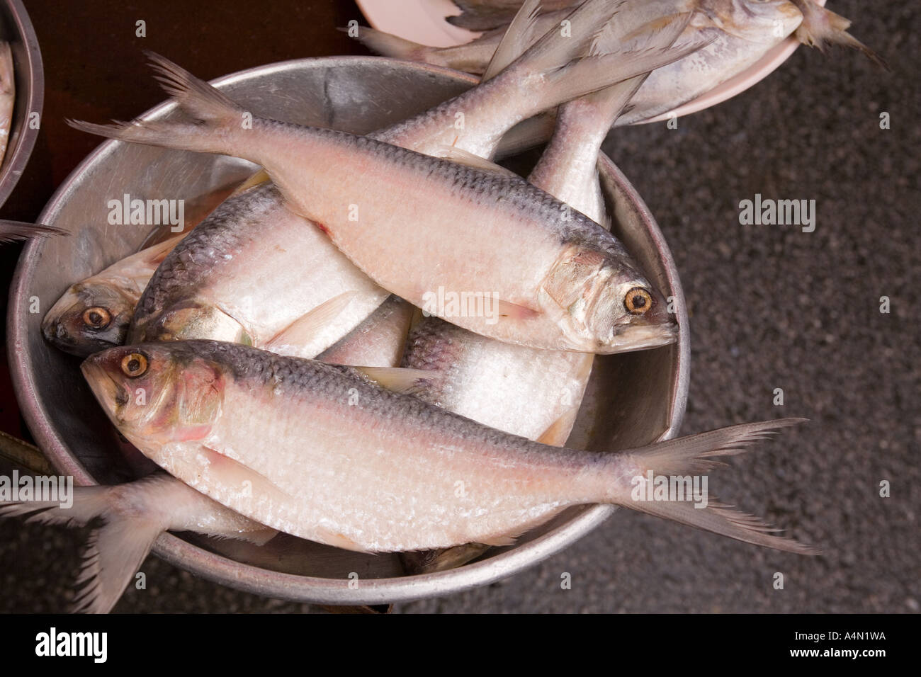 Malaysia Borneo Sarawak Kuching Sunday Market plate of small fish Stock ...