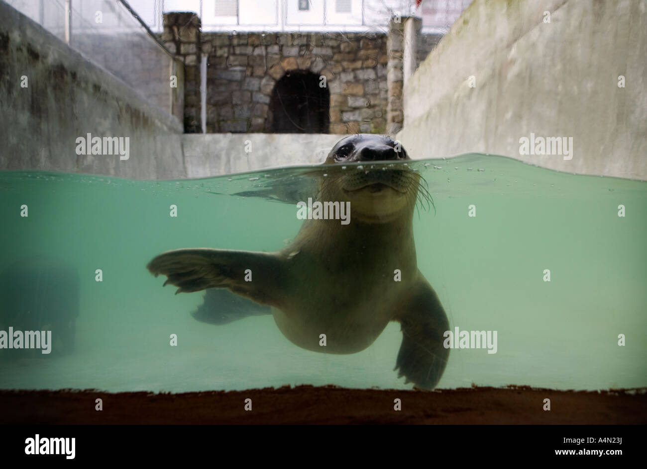 National seal hi-res stock photography and images - Alamy