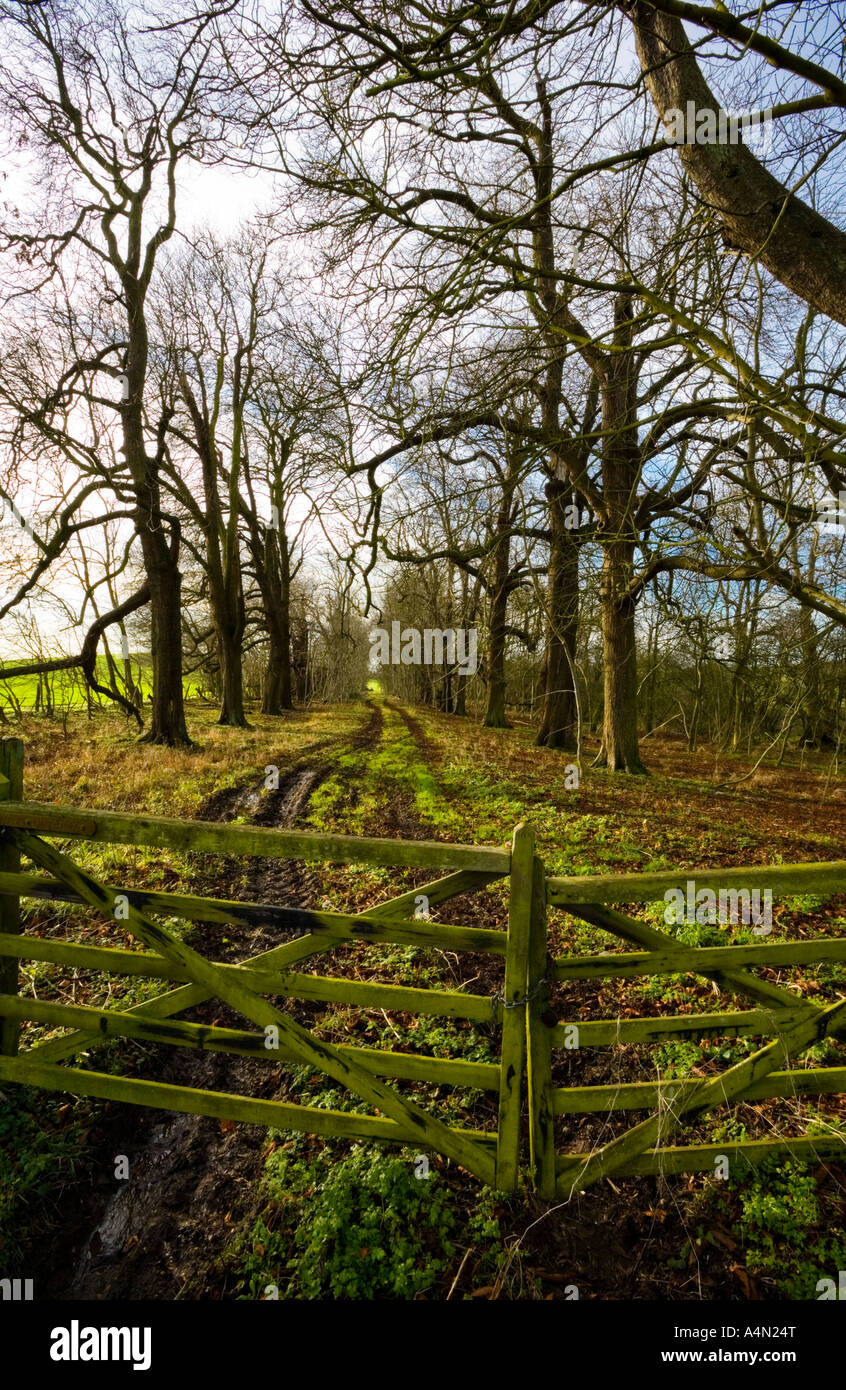 Classic country lane High Resolution Stock Photography and Images - Alamy
