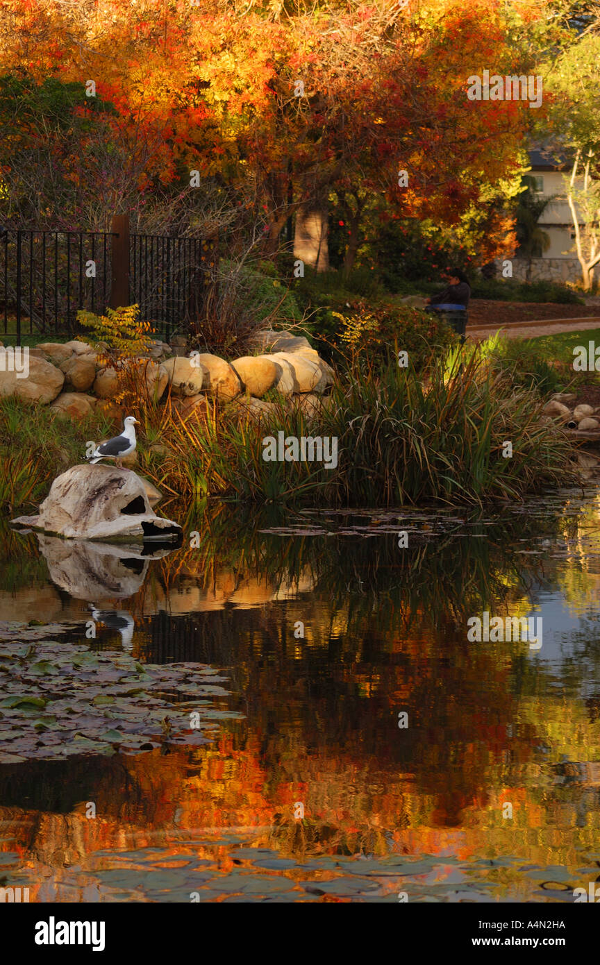 Alice Keck Park Stock Photo - Alamy