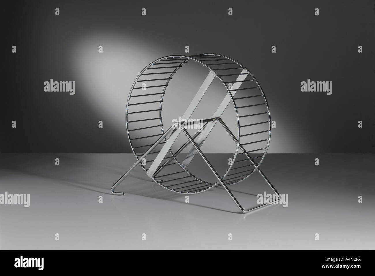 Hampster wheel hi-res stock photography and images - Alamy
