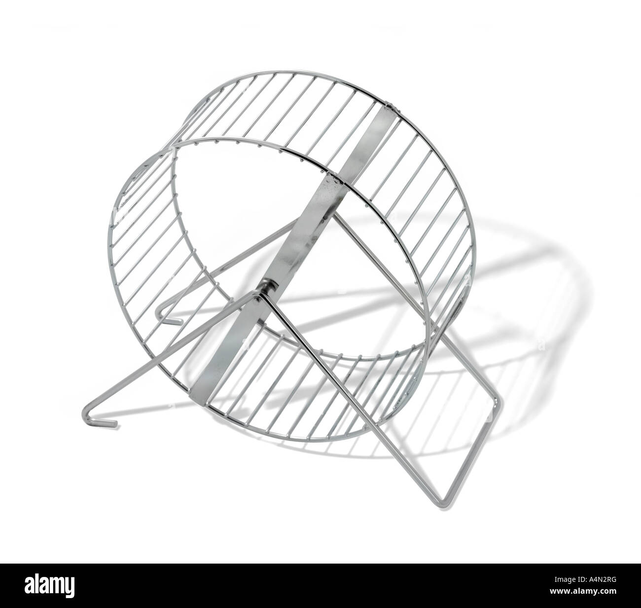 Hamster wheel hi-res stock photography and images - Alamy