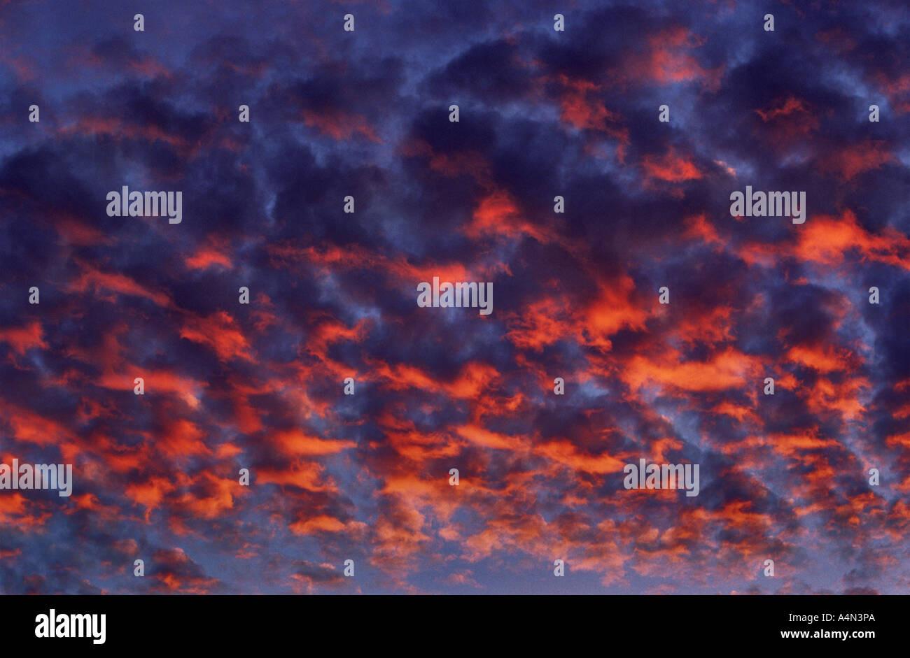 Dreamshorizontal hi-res stock photography and images - Alamy