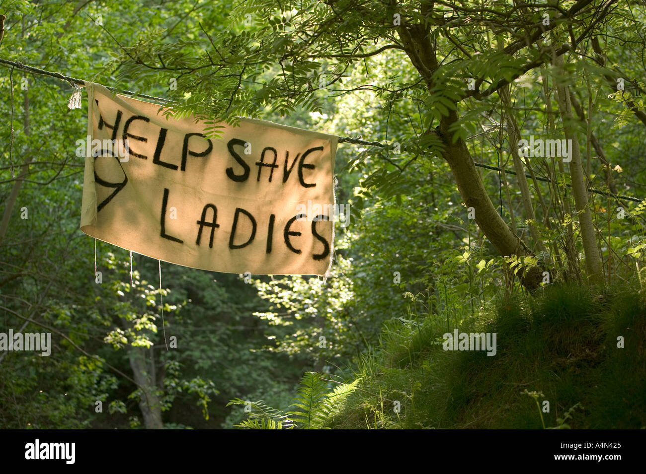 9 ladies stone circle hi-res stock photography and images - Alamy