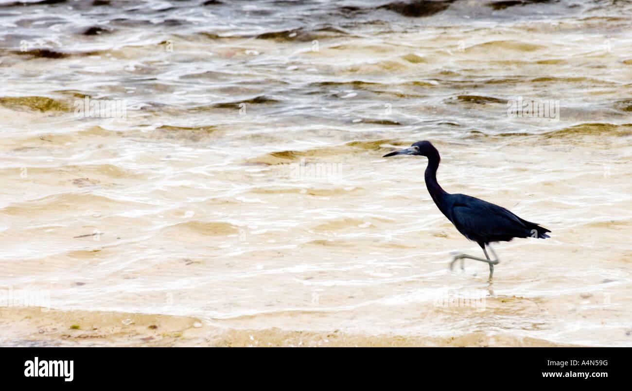 Derrick bird hi-res stock photography and images - Alamy