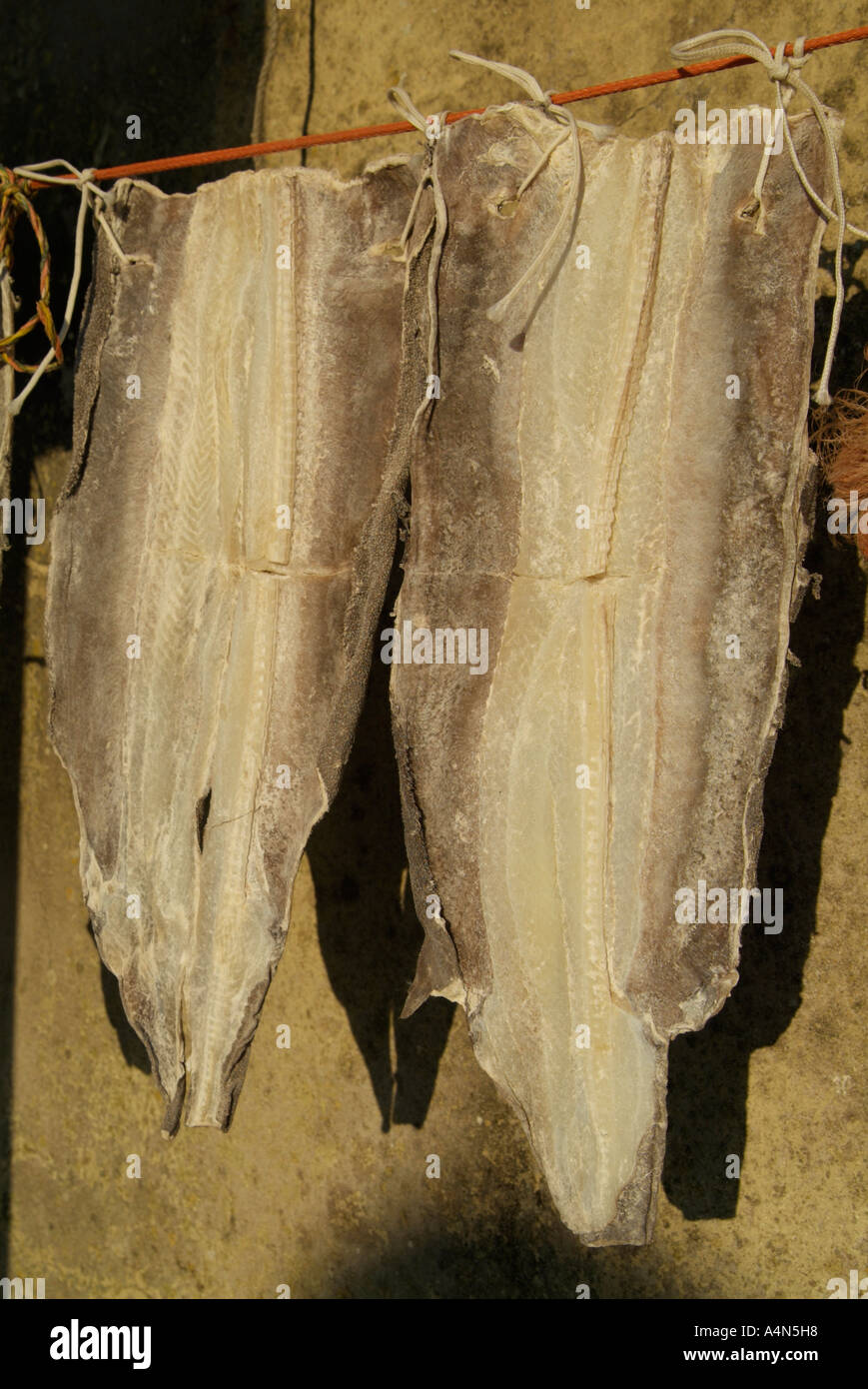 Drying cod fish in a street of Portugal Stock Photo - Alamy