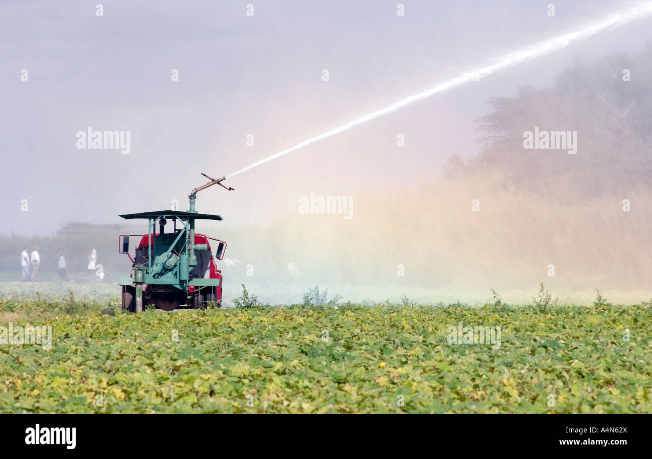 watering the crops Stock Photo - Alamy