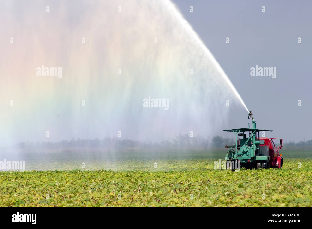 watering the crops Stock Photo - Alamy