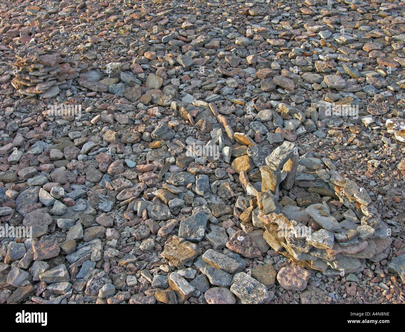 shapes out of piled stones on stony western coast of island Oland ...