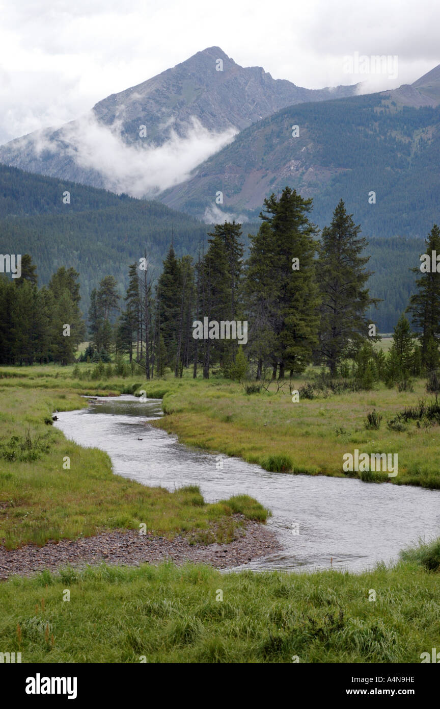 Colorado river headwaters head water Rocky Mountain National Park ...