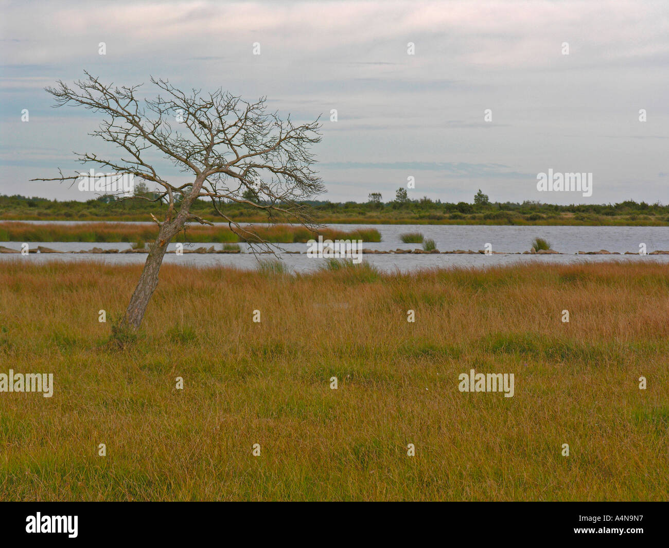 Shallow lakes hi-res stock photography and images - Alamy