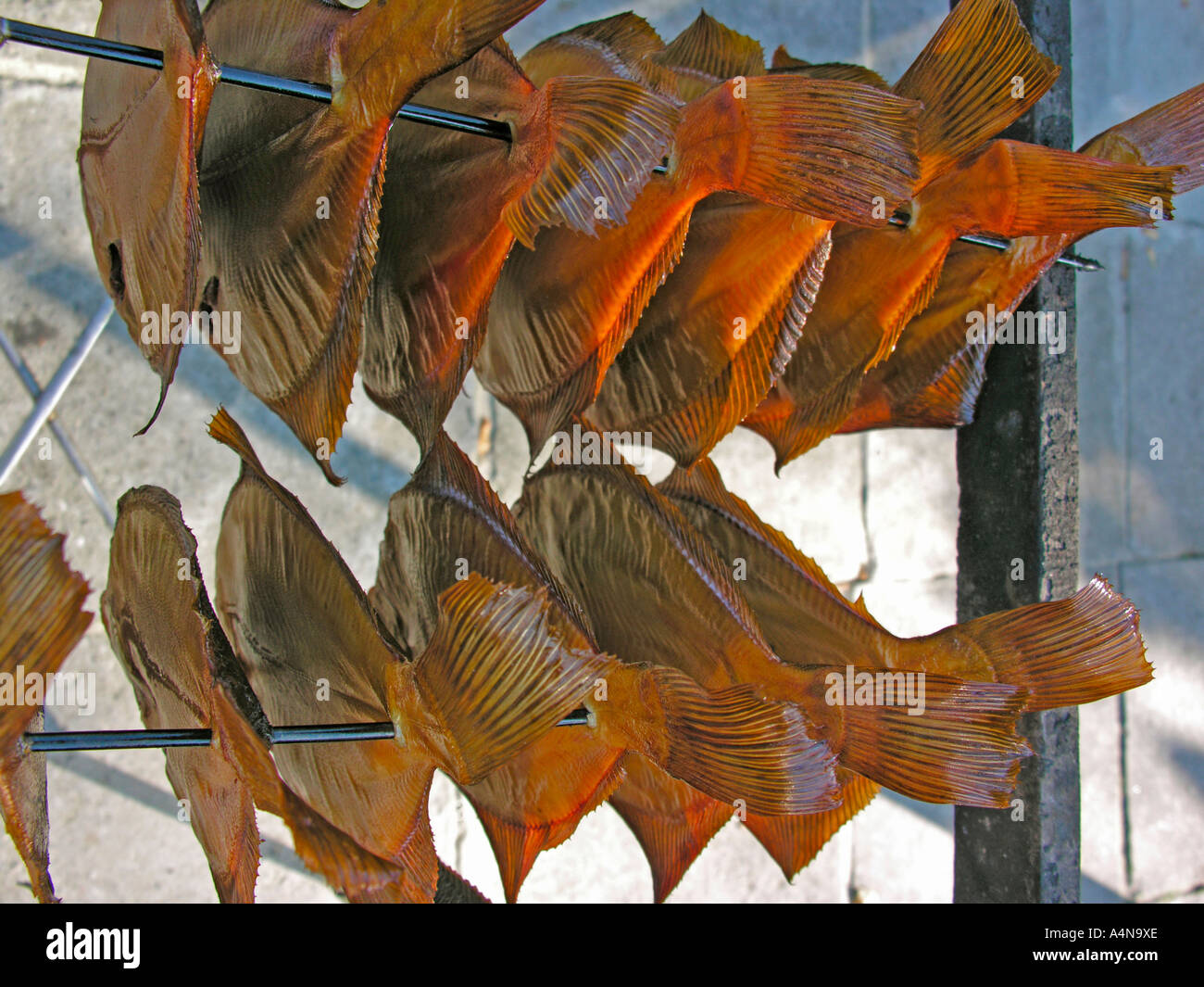 smoked fumed fish plaice on a spit Stock Photo - Alamy
