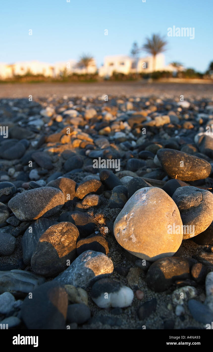 Stones on the beach Stock Photo - Alamy